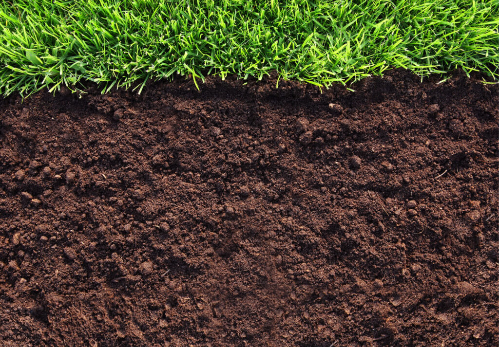 Humic Acids - Saint Humic Acid